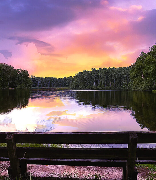 tennessee dreamy budget park ftr