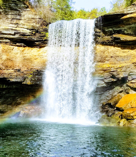 tennessee dreamy state park ftr