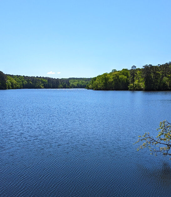 tennessee hidden gem park ftr