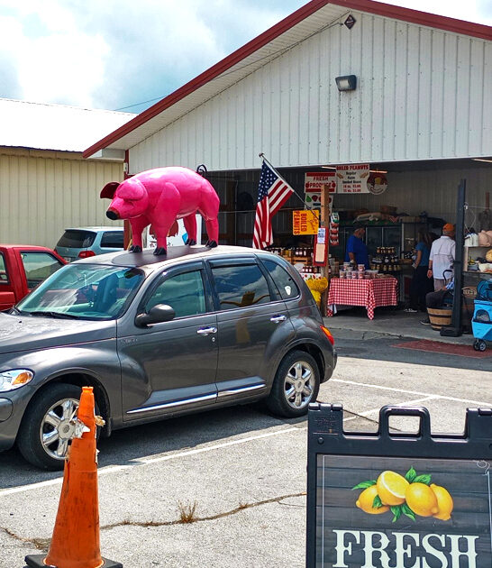 tennessee market flea gigantic ftr