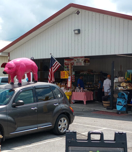 tennessee swap meet bargains ftr