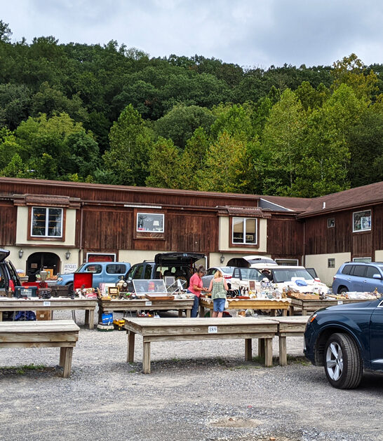 terrific market new jersey ftr