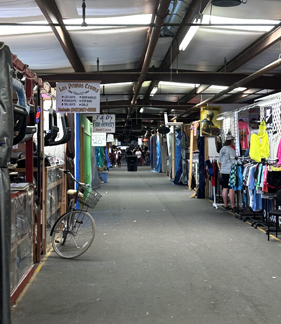 terrific market south carolina ftr