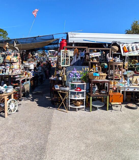 terrific massive market florida ftr