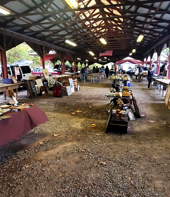 terrific new jersey market ftr