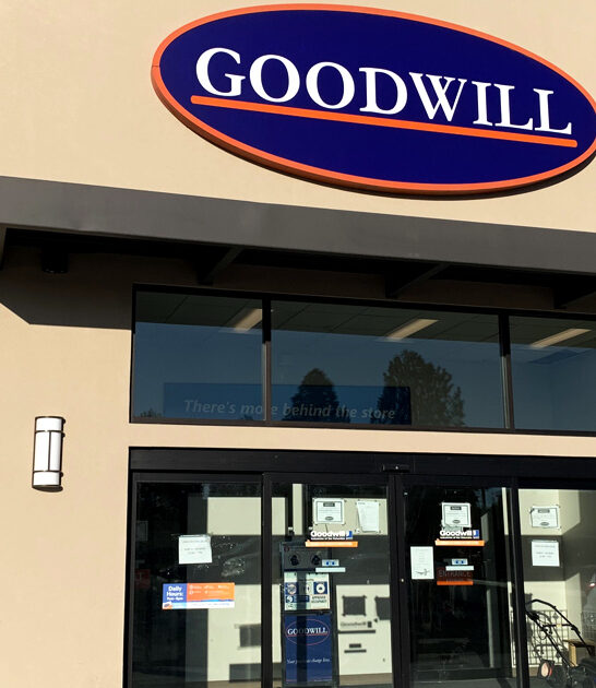 terrific thrift store washington ftr