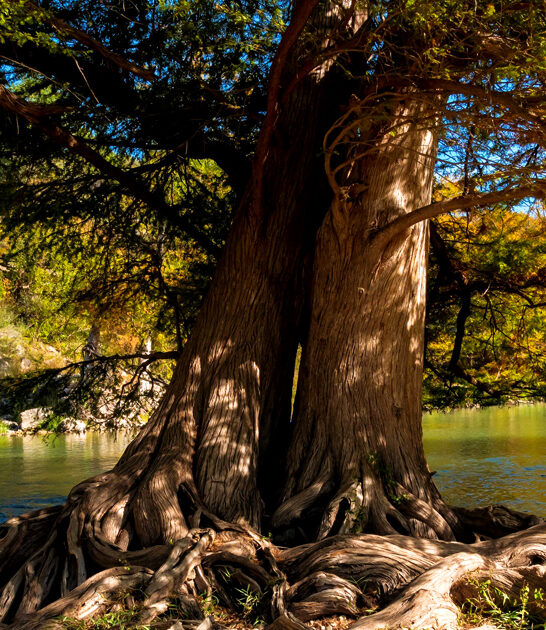 texas state park scenic FTR