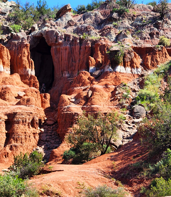 texas stunning lovers nature ftr