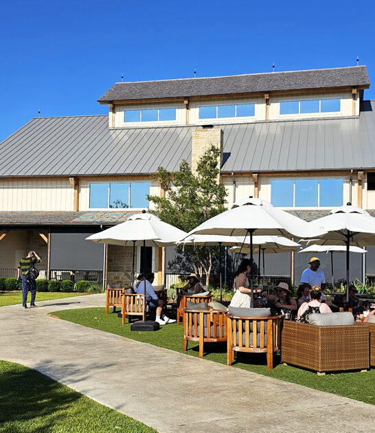 texas winery day trip ftr