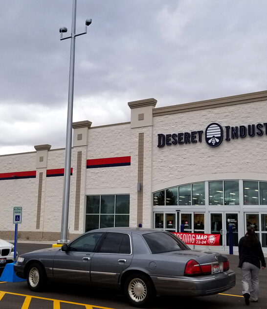 thrift idaho bags bargains ftr