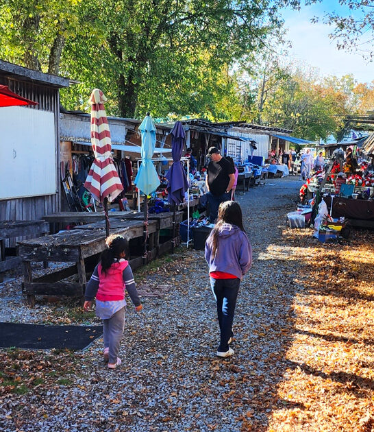 thrift market tennessee best ftr