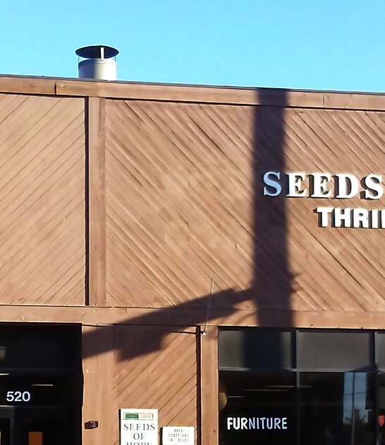 thrift shopping north dakota ftr