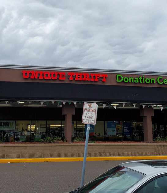 thrift store bargains minnesota ftr