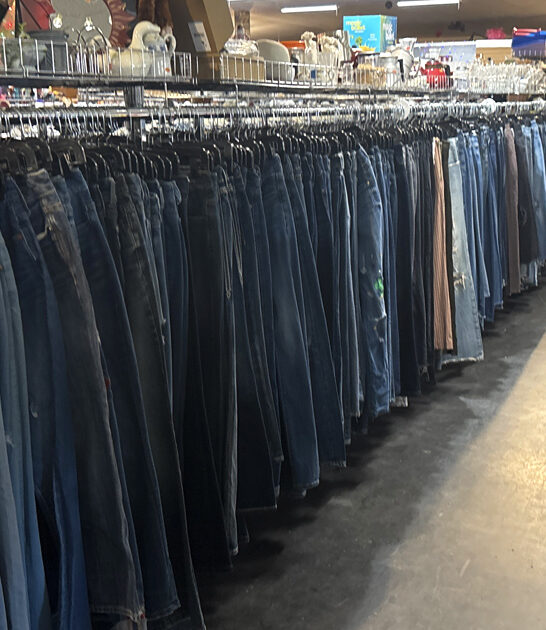 thrift store wyoming gigantic ftr