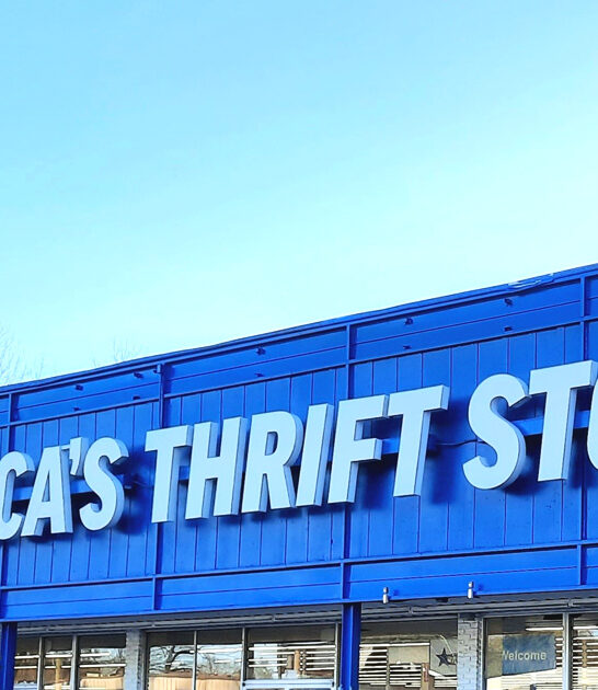 thrift stores alabama trip ftr