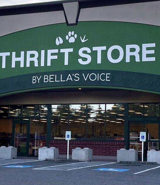 thrift stores washington wardrobe ftr