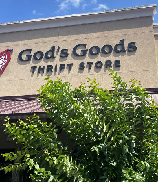 thrift way south carolina ftr