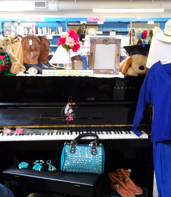 thrift wyoming shopping spree ftr