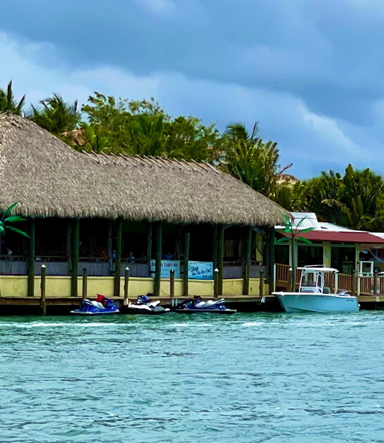 tiki florida shrimp rangoon ftr