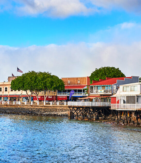 tiny town hawaii ftr