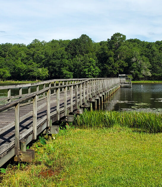 top notch trip alabama ftr