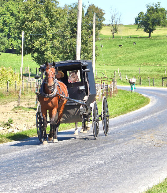 town amish ohio gorgeous ftr