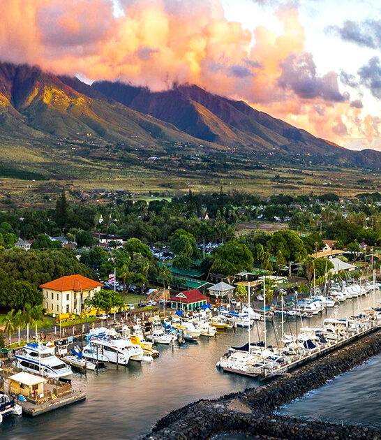 town hawaii nature lovers ftr