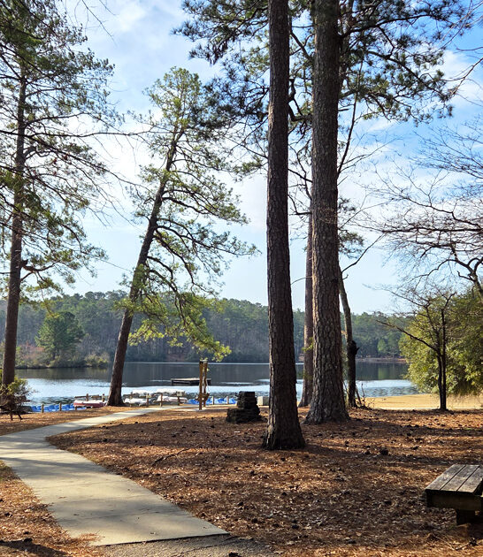 tranquil south carolina park ftr