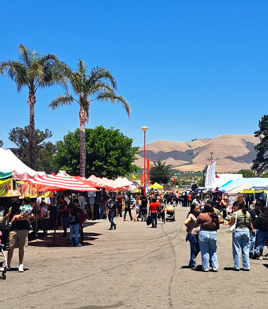 travel california swap meet ftr
