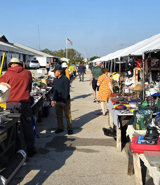 travel florida swap meet ftr