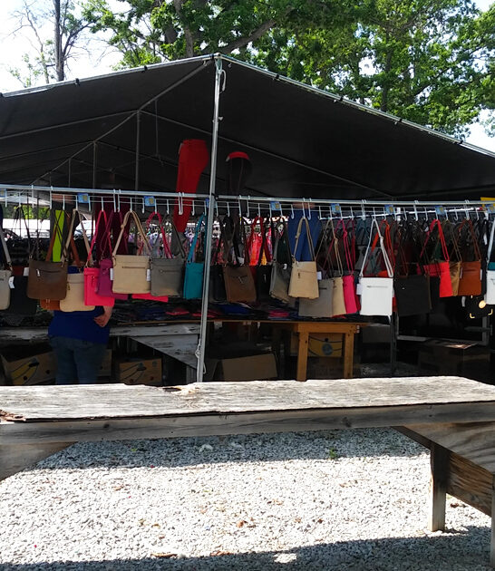 travel worthy market michigan ftr