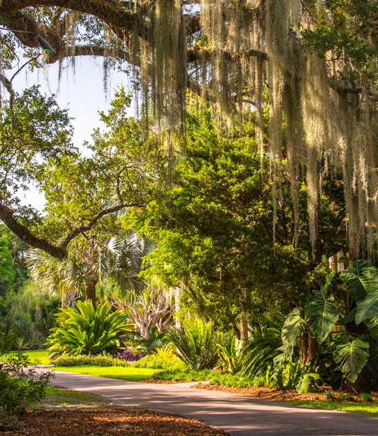 trip botanical garden florida ftr