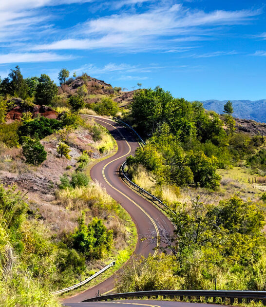 trips gorgeous day hawaii ftr
