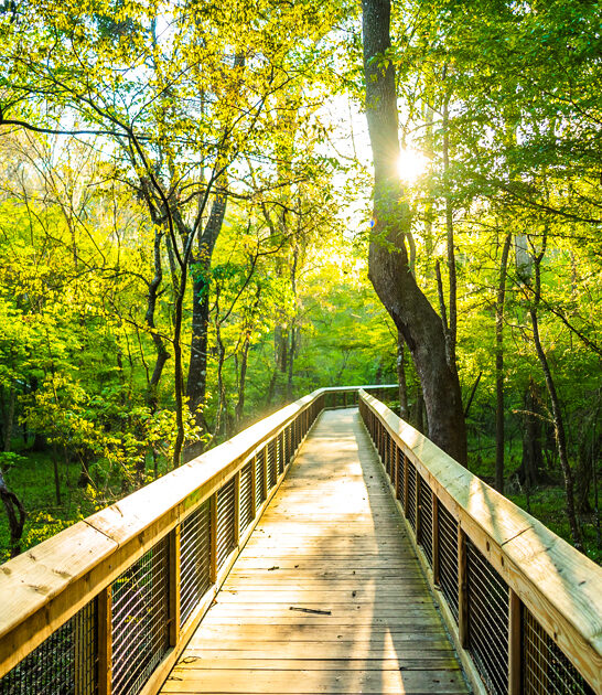trips state park florida ftr