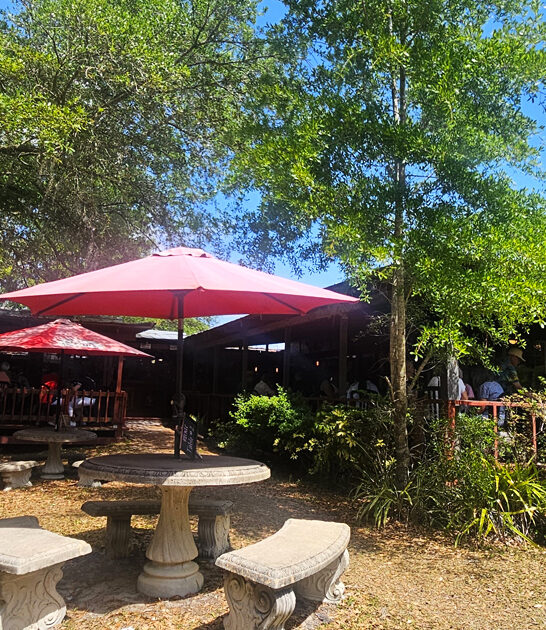 turkey croissant florida favorite ftr