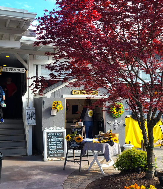 underrated breakfast joints virginia ftr