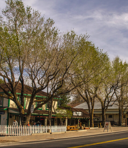 underrated gorgeous town nevada ftr