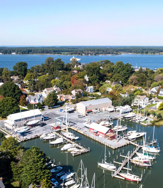 underrated maryland worries disappear ftr