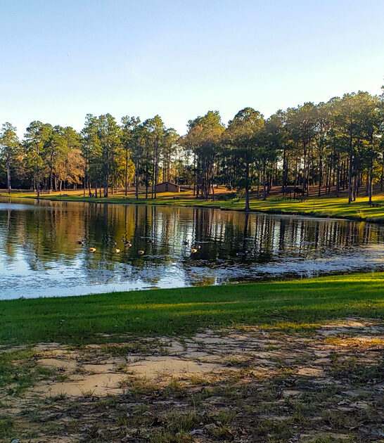 underrated mississippi dream nature ftr