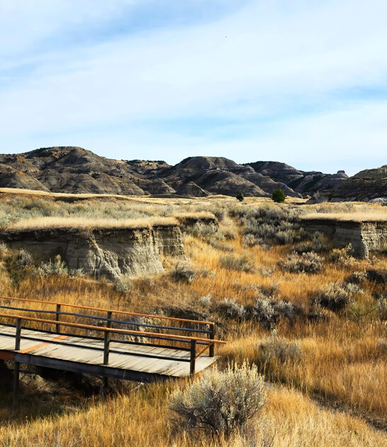 underrated park montana melt ftr