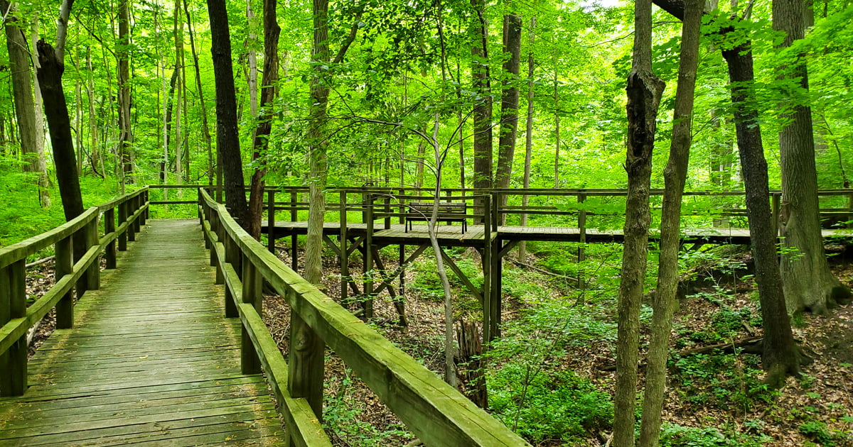 10 Underrated State Parks In Indiana That Are A Dream Come True For ...