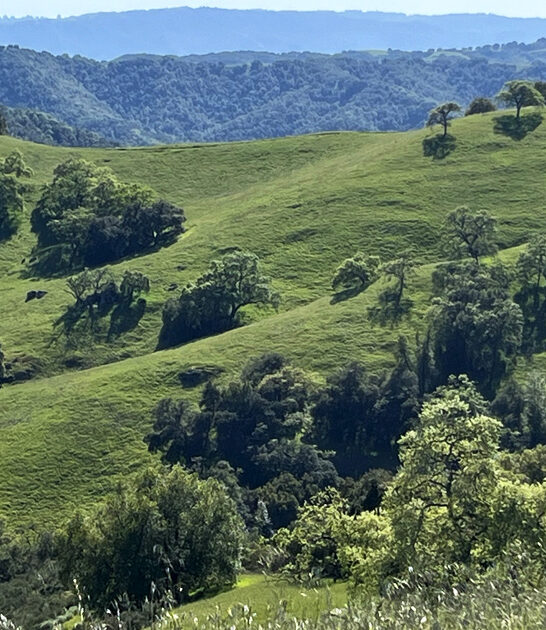underrecognized state park california ftr