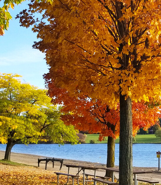 unforgettable breathtaking park michigan ftr