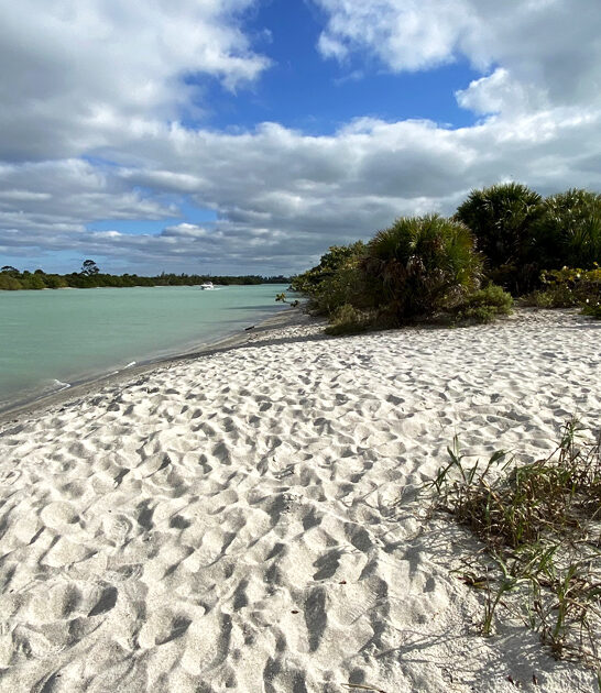 unforgettable trip florida day ftr