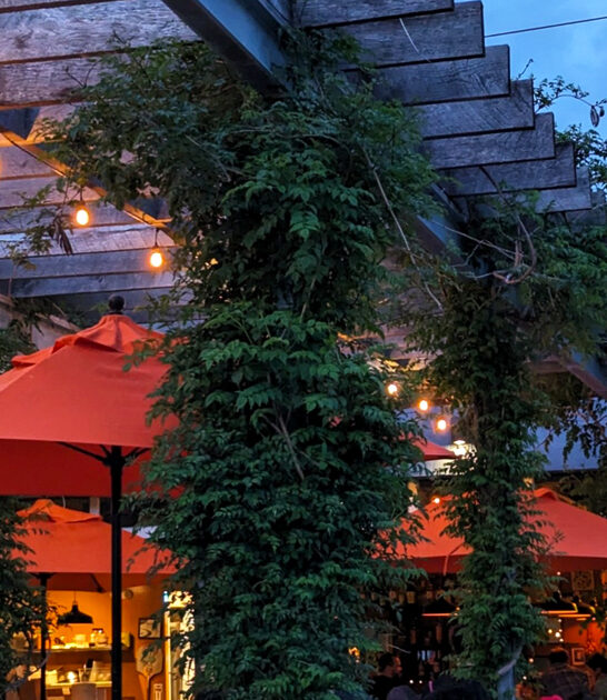 unfussy restaurants indiana savory ftr