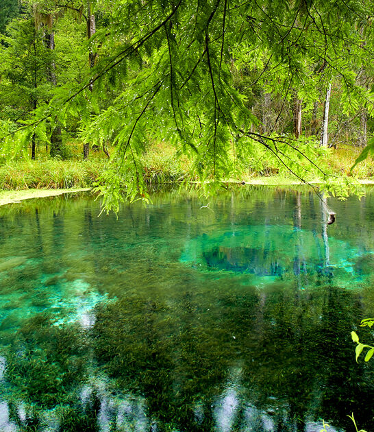 unheard florida spring stunning ftr