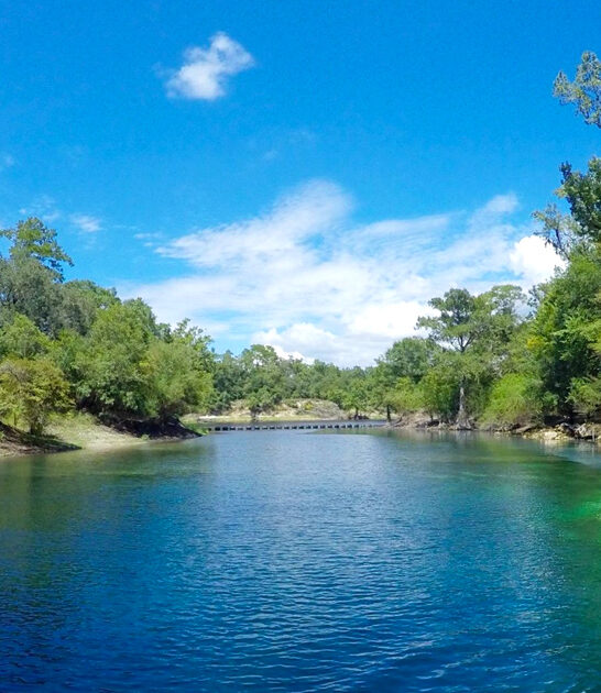 unheard spring breathtaking florida ftr