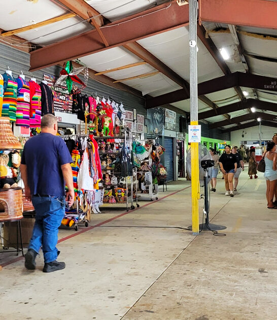 unique finds florida market ftr