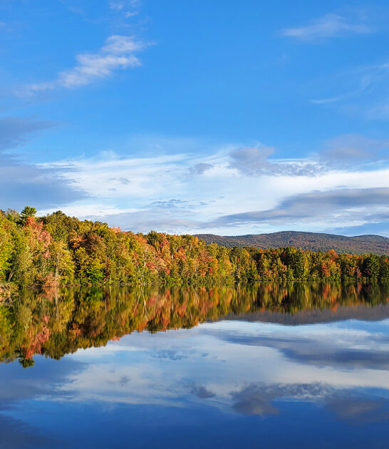 vermont calm nature park ftr