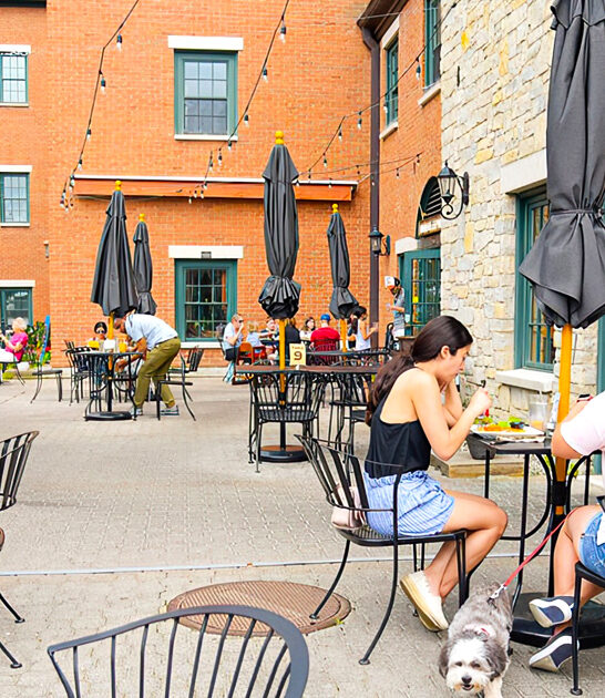 vermont famous cafe drive ftr